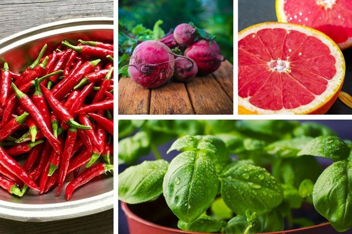 Detox Your Blood With These 20 Superfoods | Gympik Blog