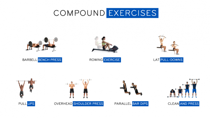 Compound Workout vs Isolation Workout - Which One Is Better? | Gympik Blog