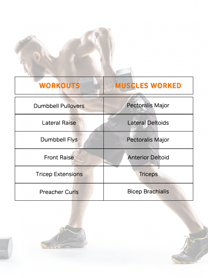 Compound Workout vs Isolation Workout - Which One Is Better? | Gympik Blog